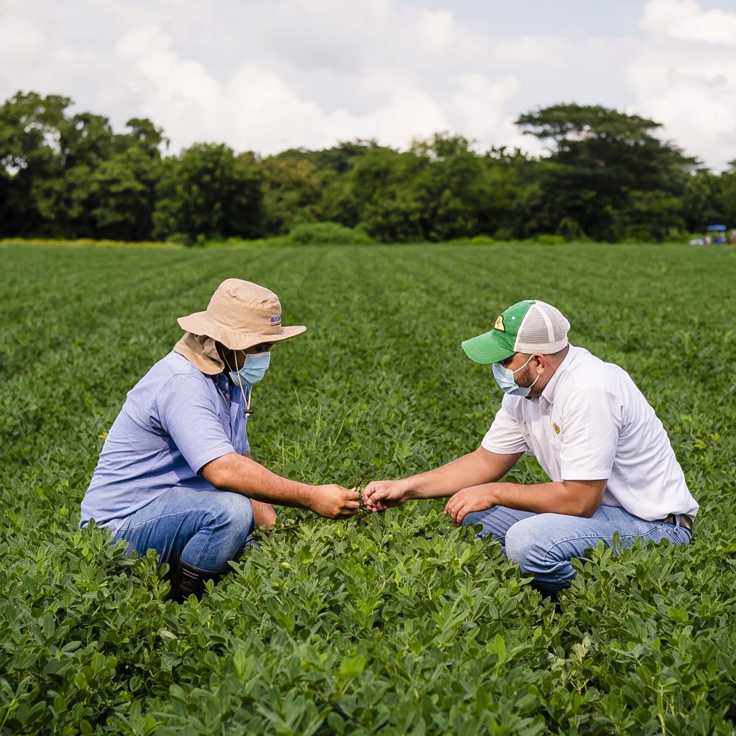 Dr del Agro – CISA AGRO Dr del Agro – CISA AGRO