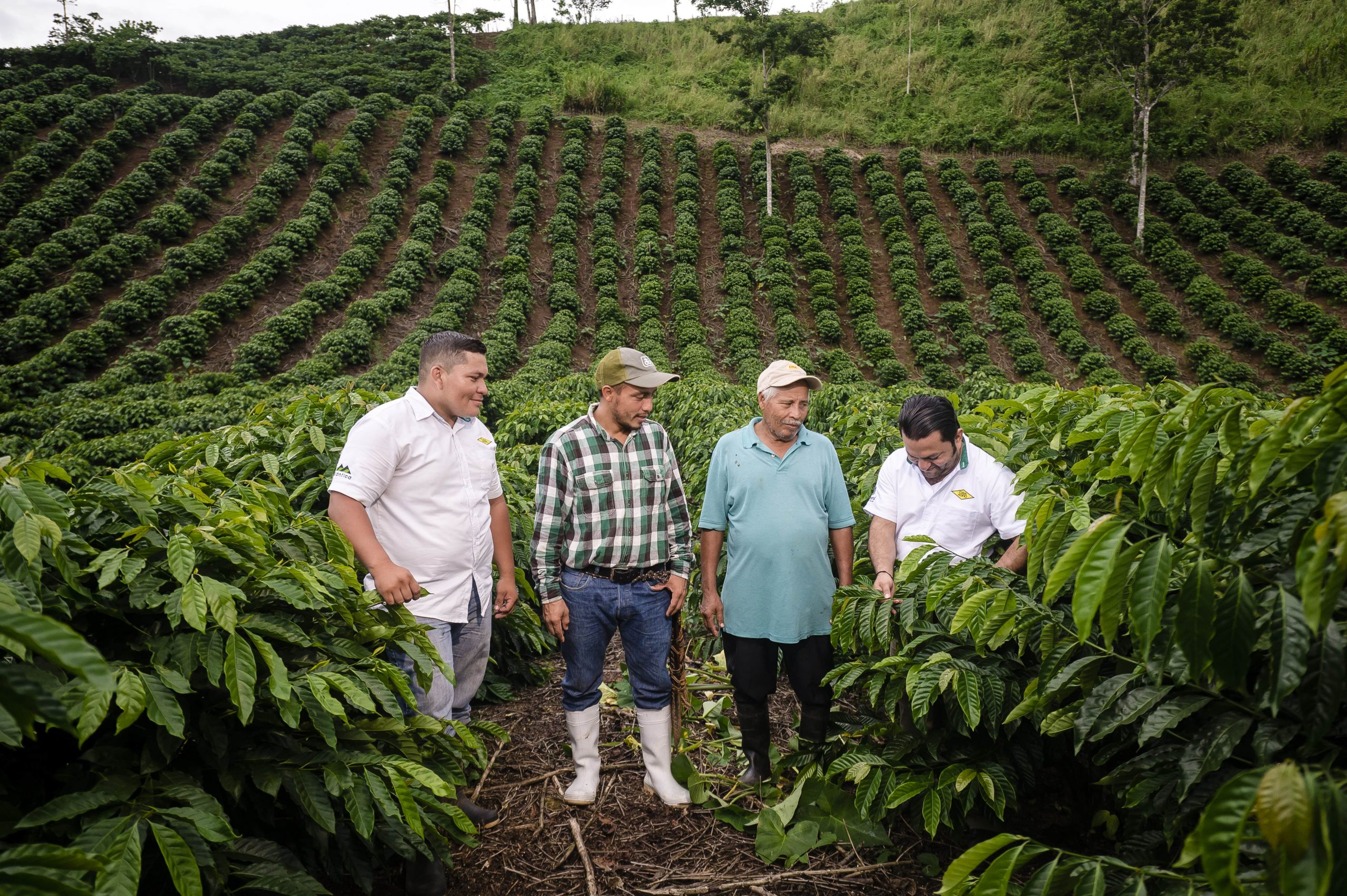 ADN Cisa Agro - CISA AGRO