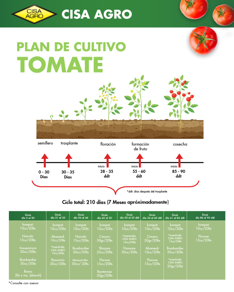 Tomate - CISA AGRO